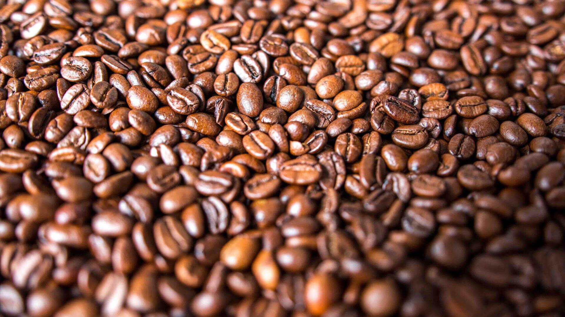 Kaffee selber rösten | Kaffee Partner