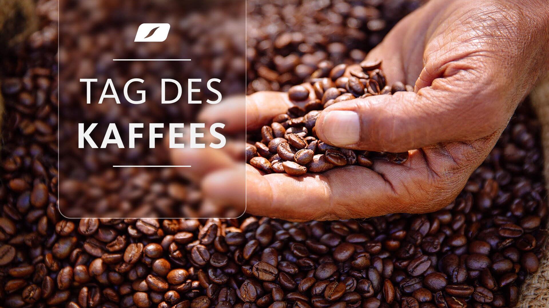 Kaffeefilter: Welcher ist der richtige? | Kaffee Partner