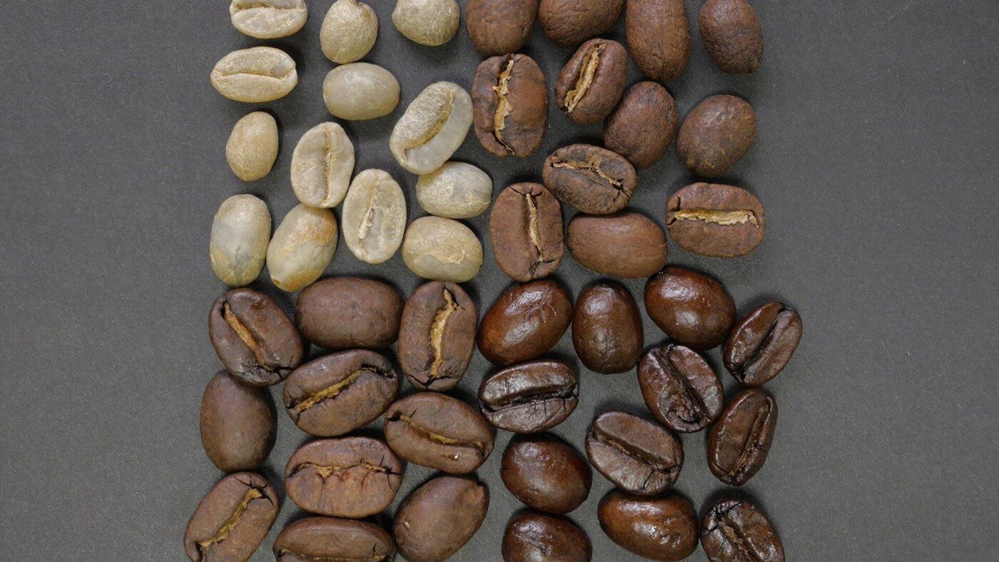Wie viele Kaffeesorten und Kaffeearten gibt es? | Kaffee Partner
