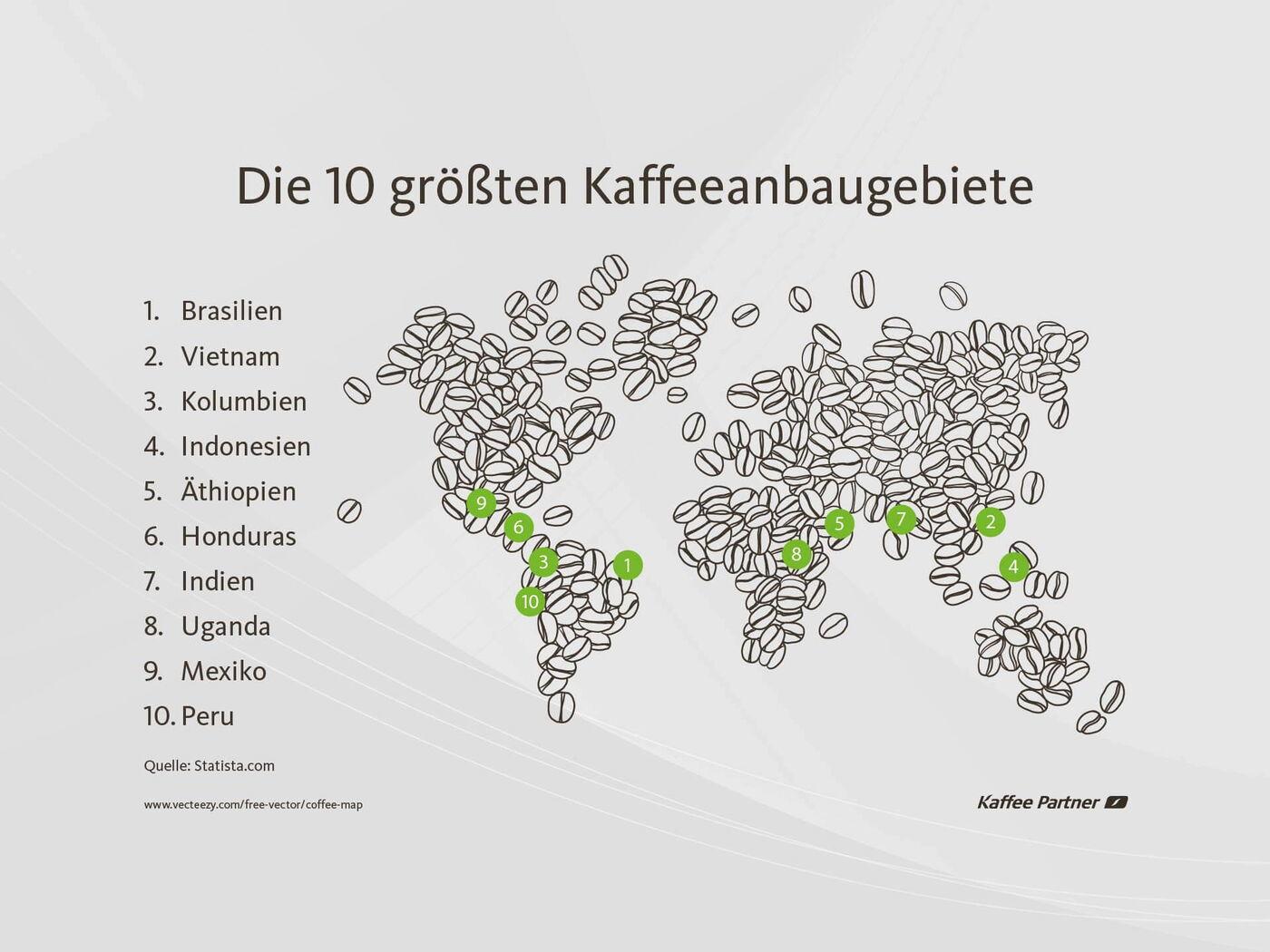 Die Kaffeebohne: Was Sie darüber wissen müssen | Kaffee Partner