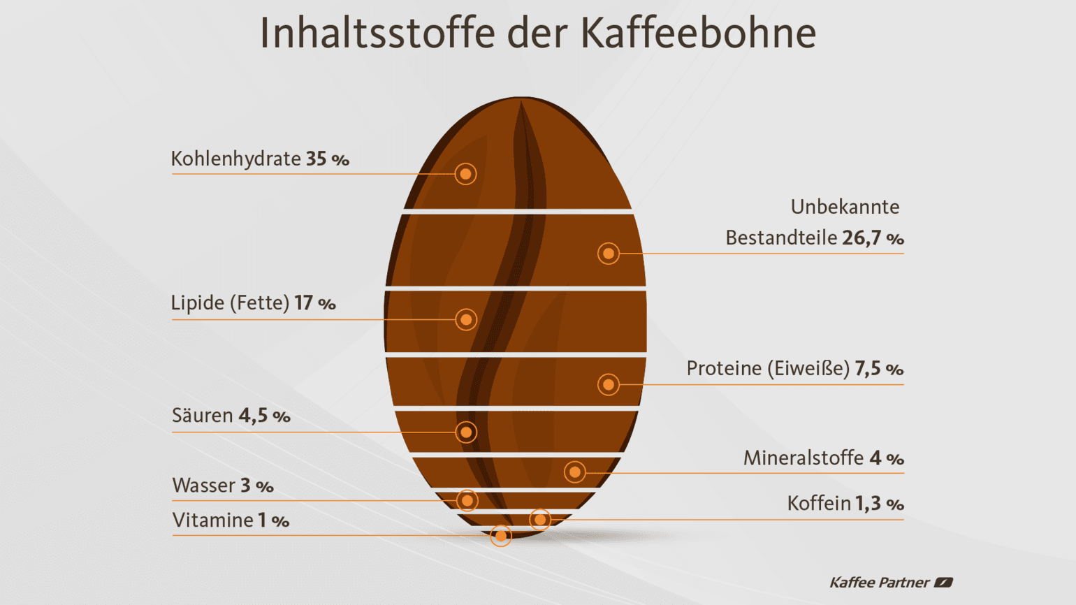 Was ist alles in Kaffee enthalten? | Kaffee Partner